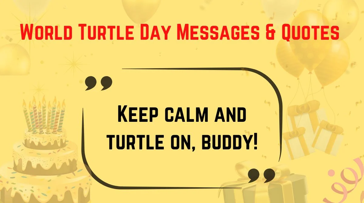 🐢 193+World Turtle Day Messages & Quotes to Raise Awareness & Love ...